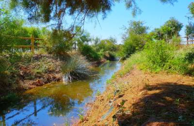 Moncofa (Castellón): Qué ver y dónde dormir – TusCasasRurales.com